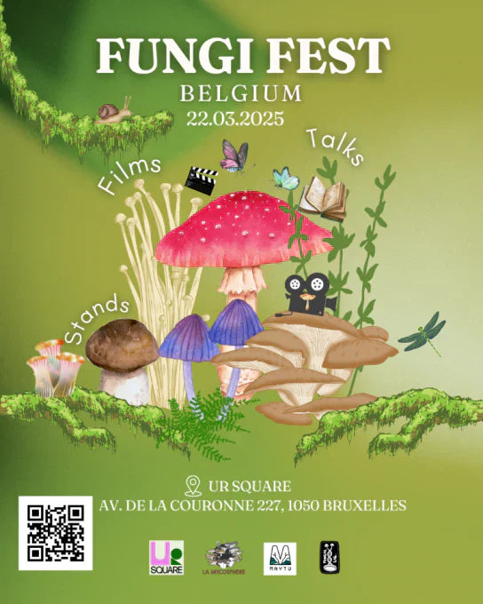 Fungi Fest 2025 : quand le mycélium inspire les rencontres – La Mycosphère