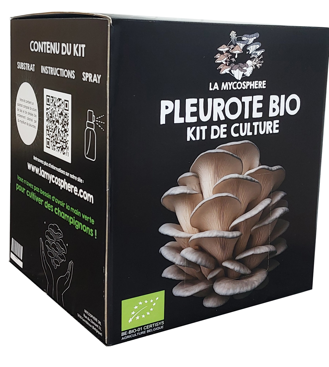 Kit Pleurote Prêt à Pousser – La Mycosphère
