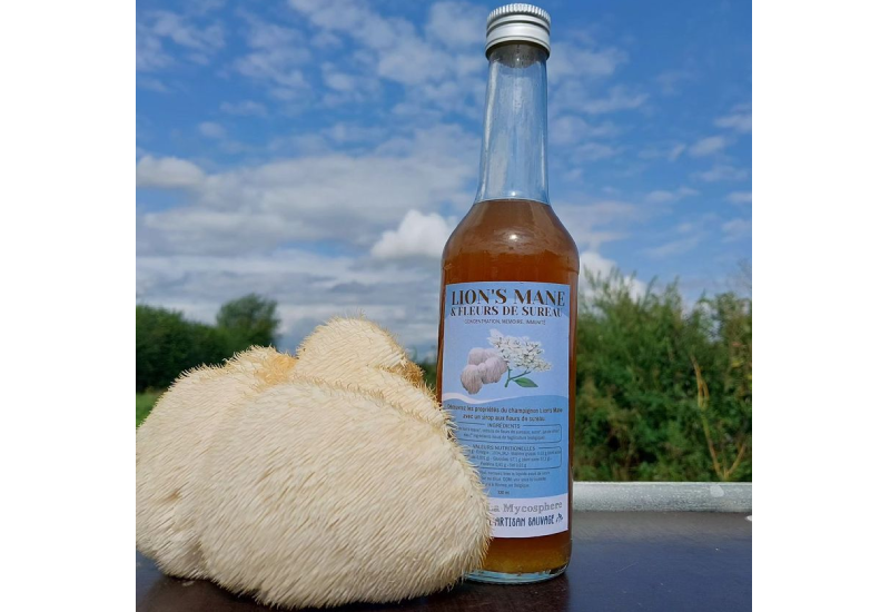Syrup with Lion's Mane and Elderflower – La Mycosphère