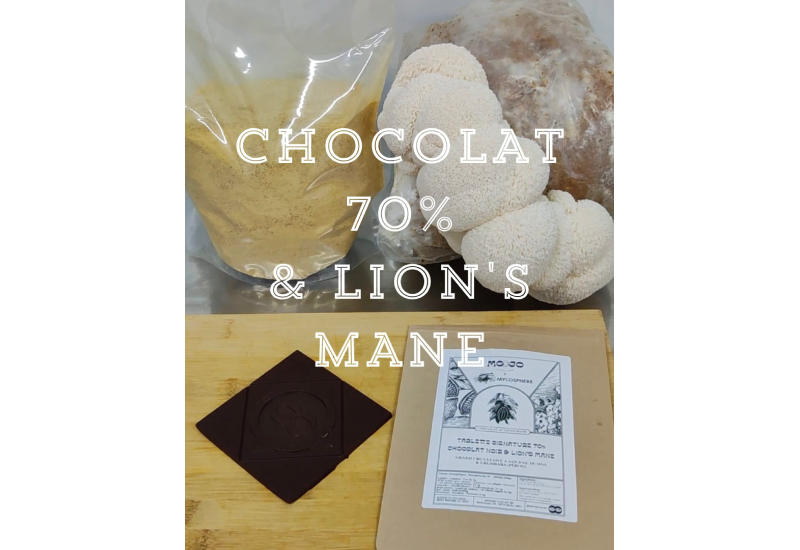 Tablette Chocolat Noir & Lion's Mane – La Mycosphère