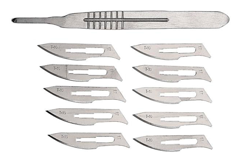 Scalpel - Set of 10 Sterile Blades No. 23 – La Mycosphère